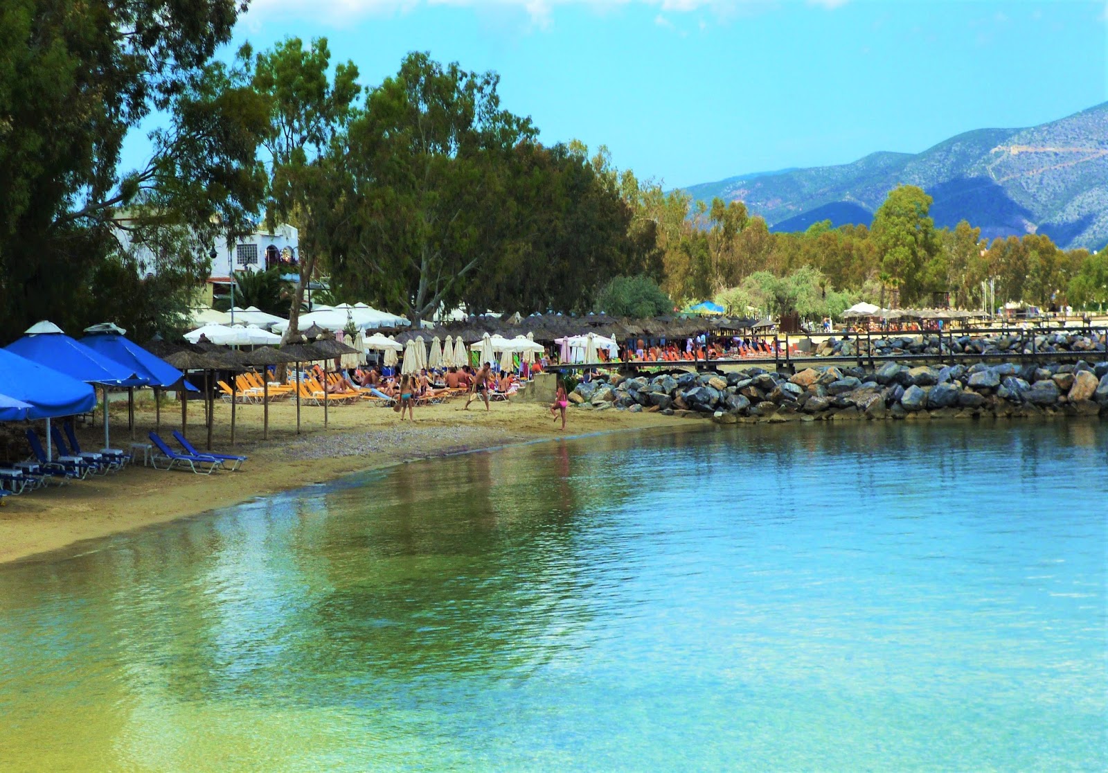 ☮ ΒΟΛΟΣ ΠΗΛΙΟ ΜΑΓΝΗΣΙΑ : ΕΙΔΗΣΕΙΣ ΤΗΣ ΗΜΕΡΑΣ 18/6/2016