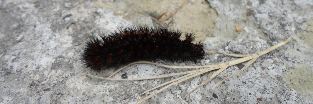 Mis impresiones hechas fotos: Mirando a tierra