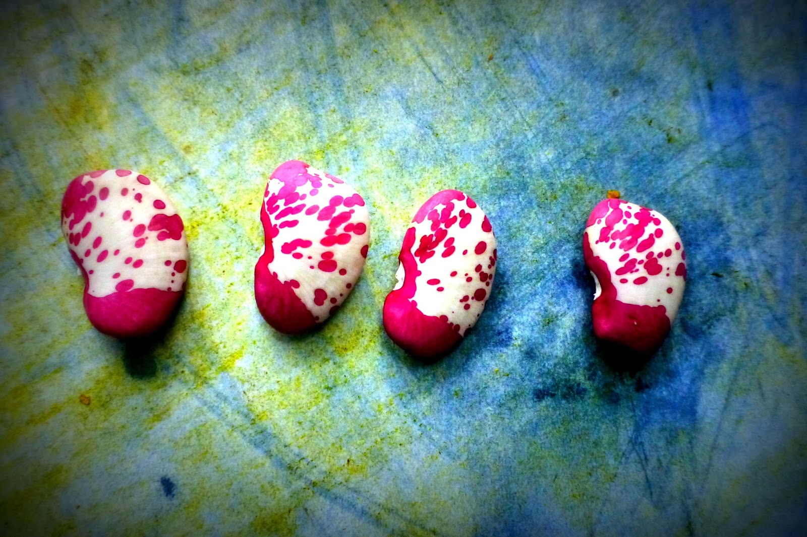 Jacobus (Jack) OUDYN: madagascar beans