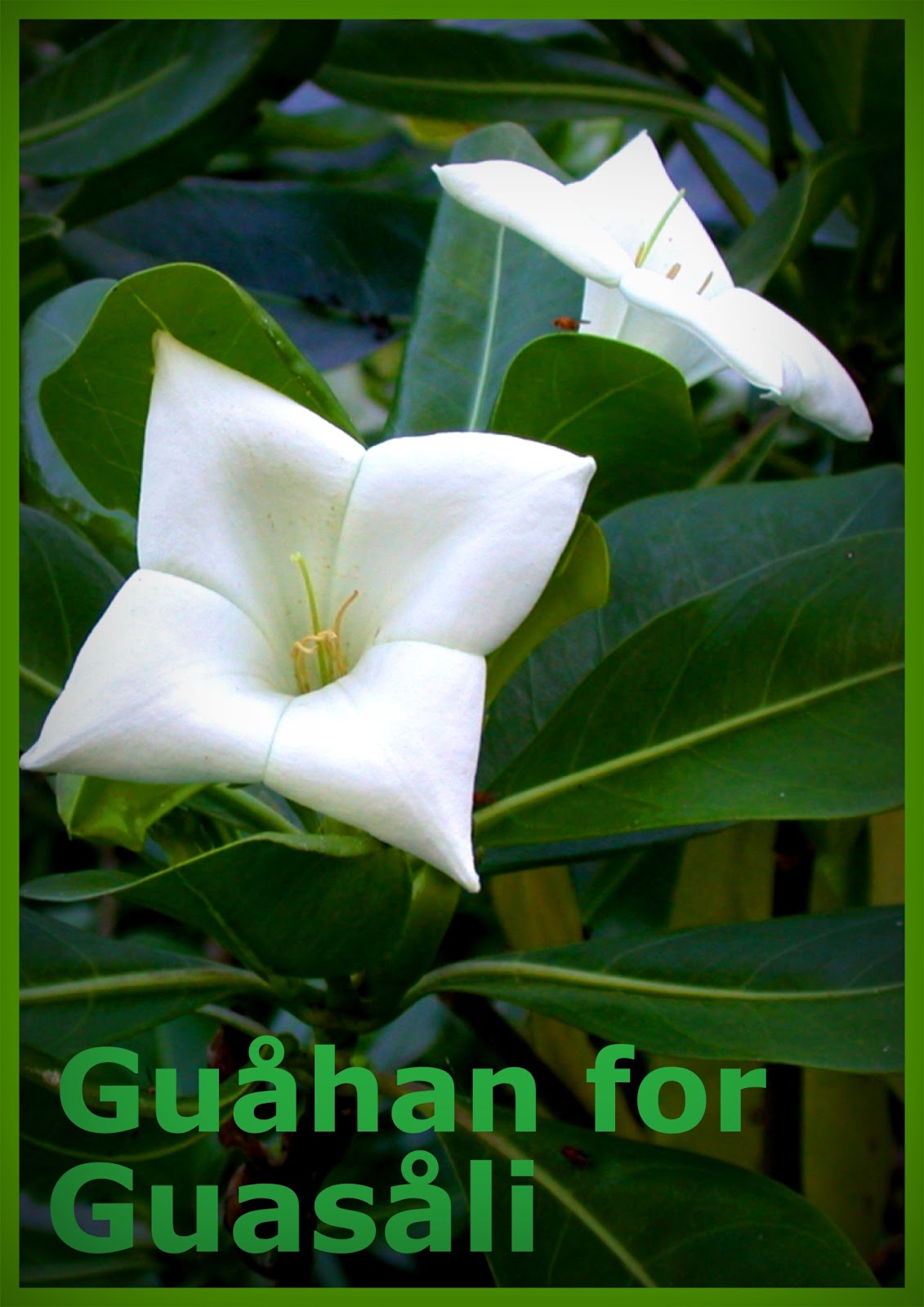 I Hinanao Mo'na: September 2013