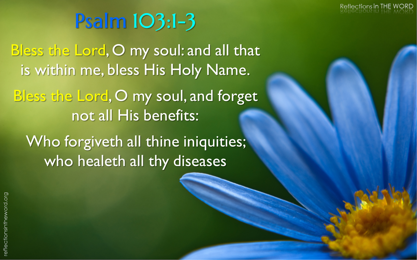 When Life Gets Blurry Adjust Your Focus Psalms 102 1 104 35