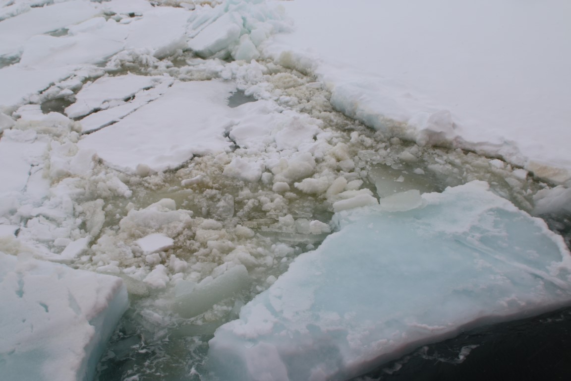 Ice. Mud. Ice. Polarbear. Ice. Mud. Ice.