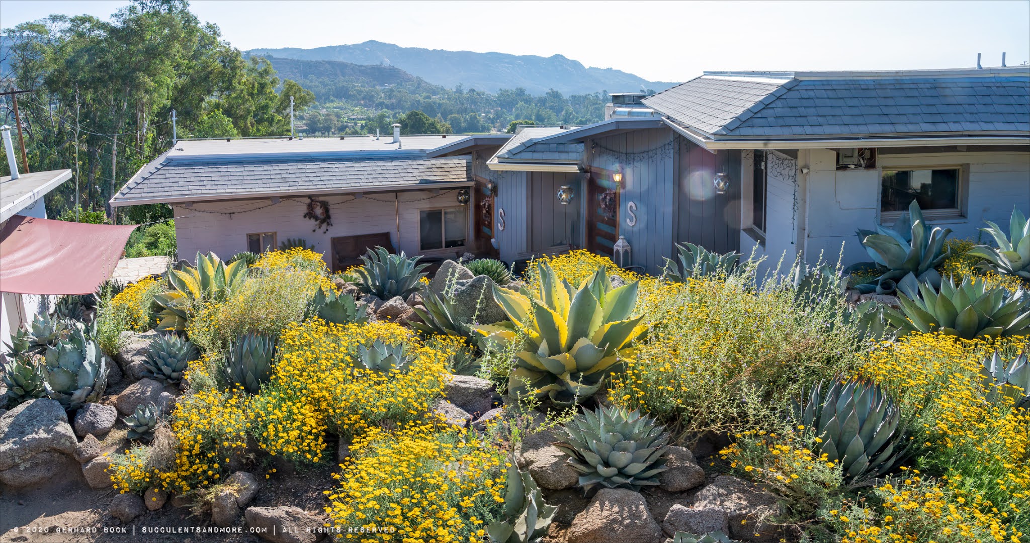 Jeremy Spath's Hidden Agave Ranch: the grounds