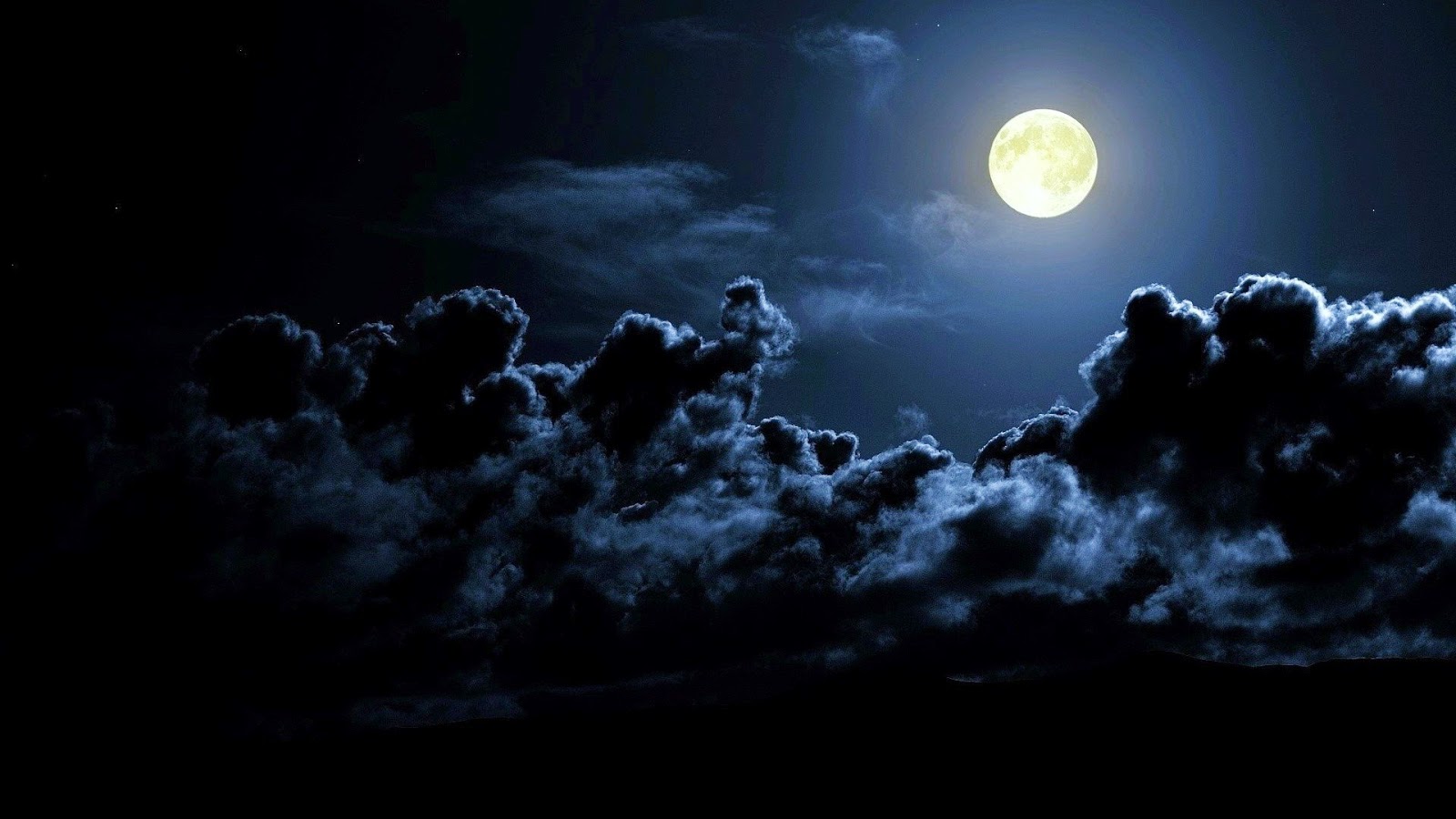 Life on: [ The Seventh Cloud ]