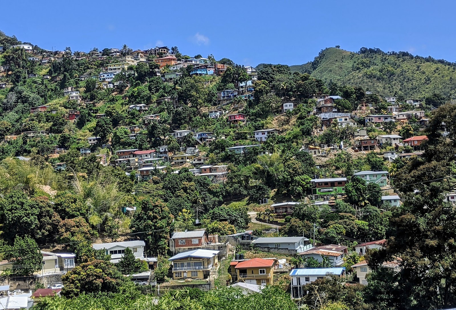 Around the World With Uncle Moose: 2020