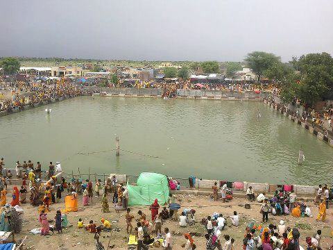 GOGAJI MAHARAJ DADREWA: गोगाजी मंदिर मे तुगलक का सहयोग
