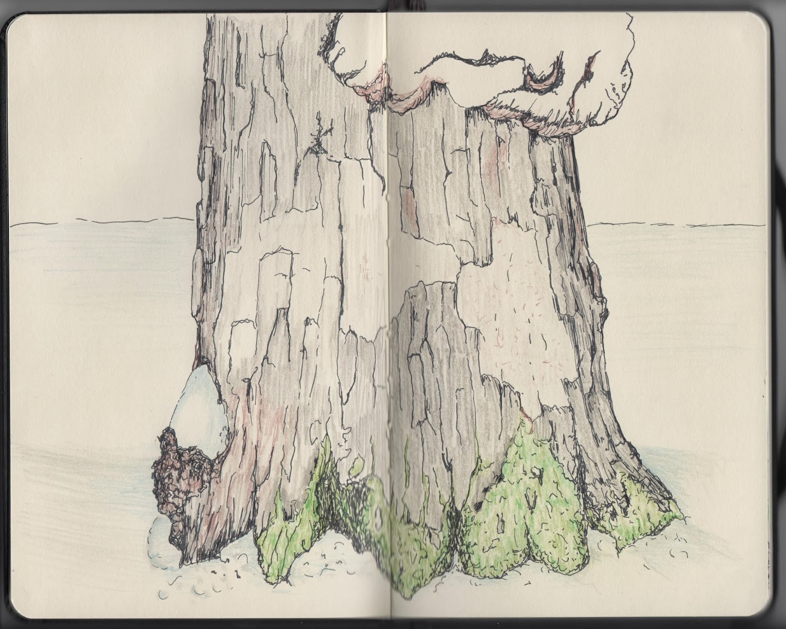 Sketching in Nature: An Impressive Tree