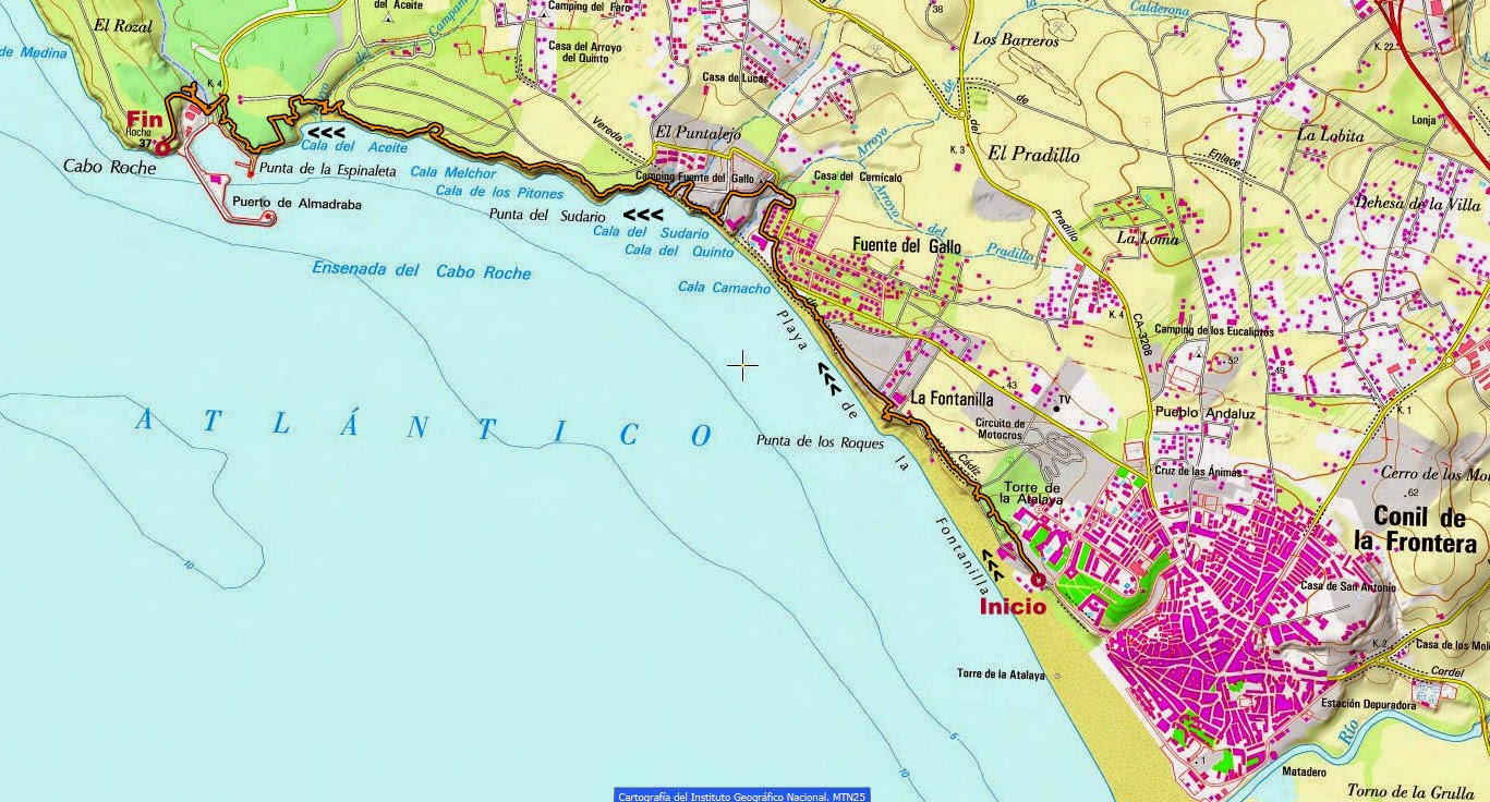 TROTONES BLOG: Conil: playas y calas.