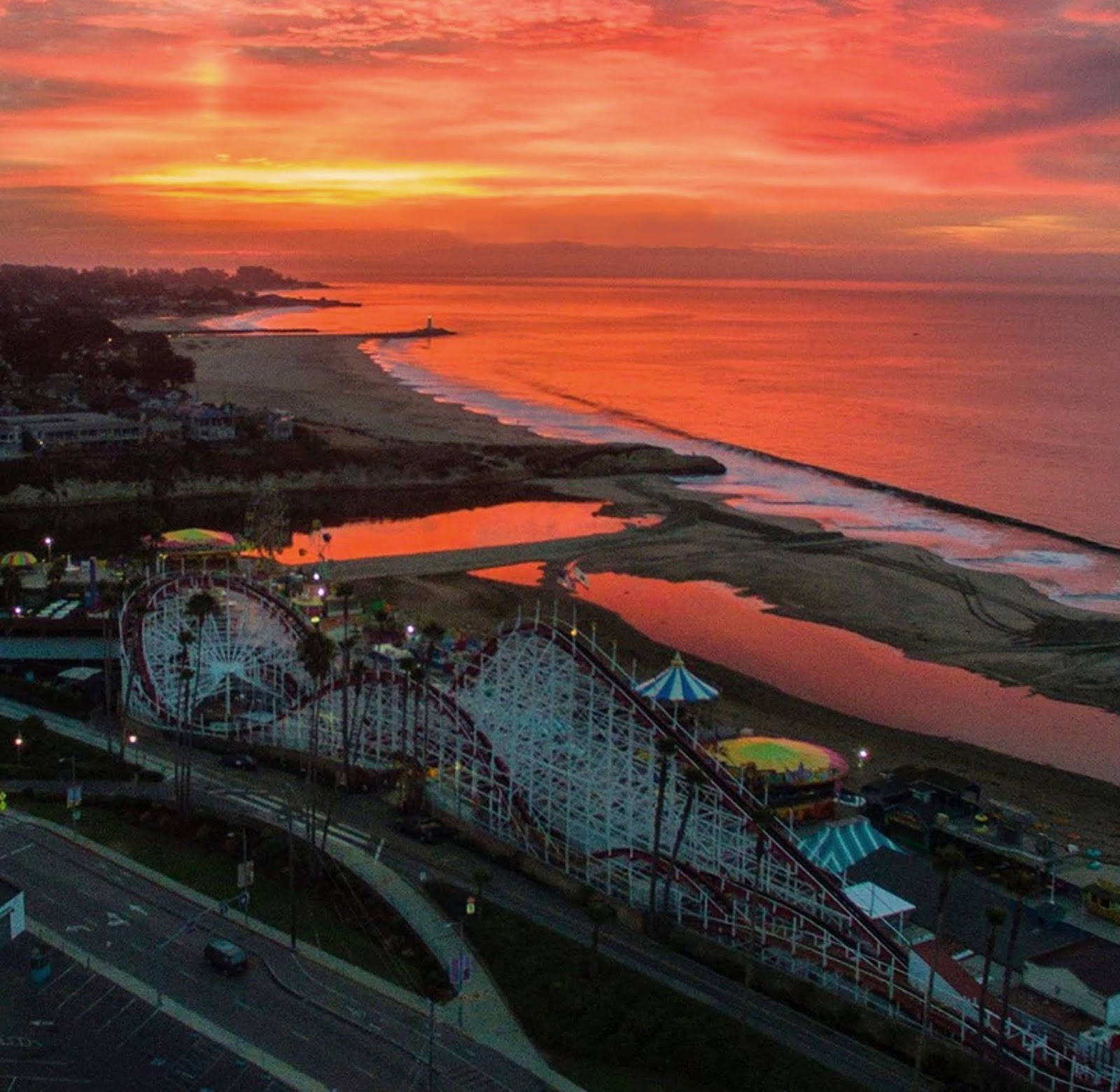 Forestdweller: Santa Cruz