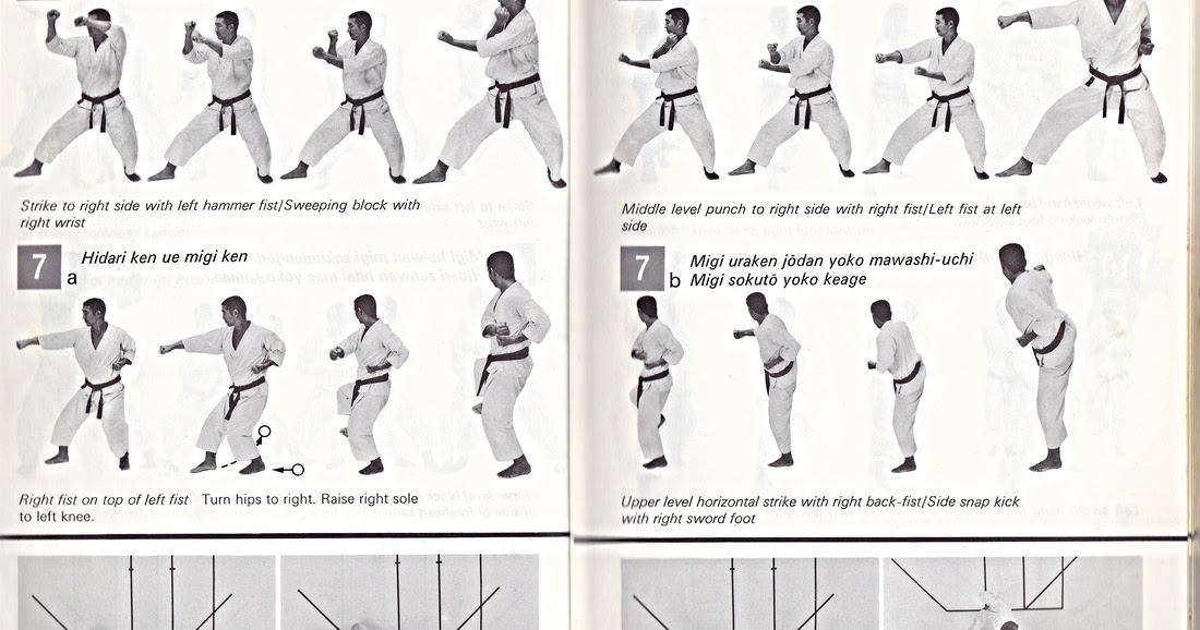 Okinawan Fighting Art "Ti": Isshinryu Basics and Kata - A Hypothesis