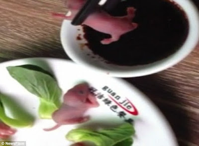 MAN IN CHINA EATING LIVE BABY MICE