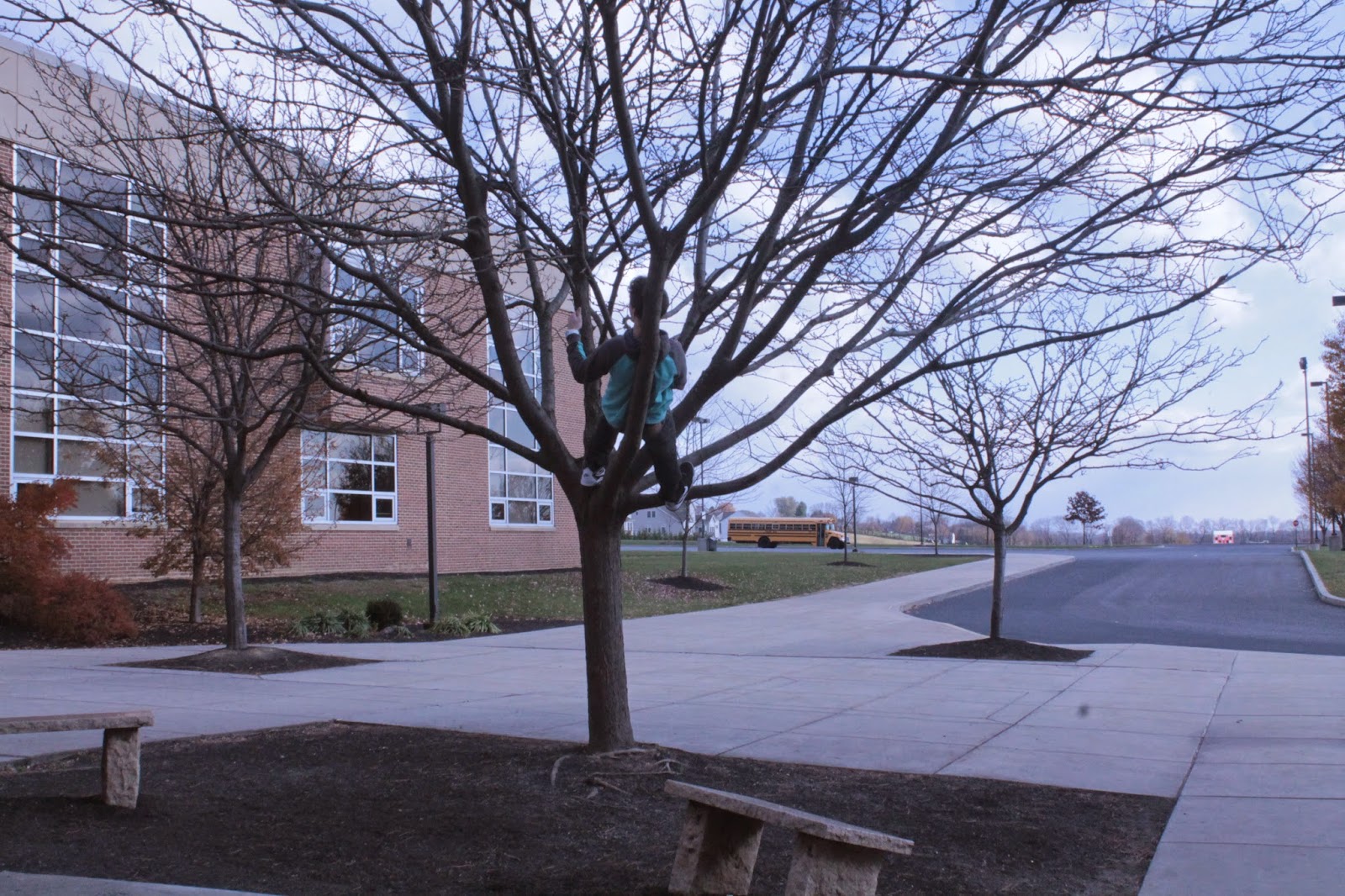 Alyssa Keefer's photography blog: Camera Basics Quiz: Group B