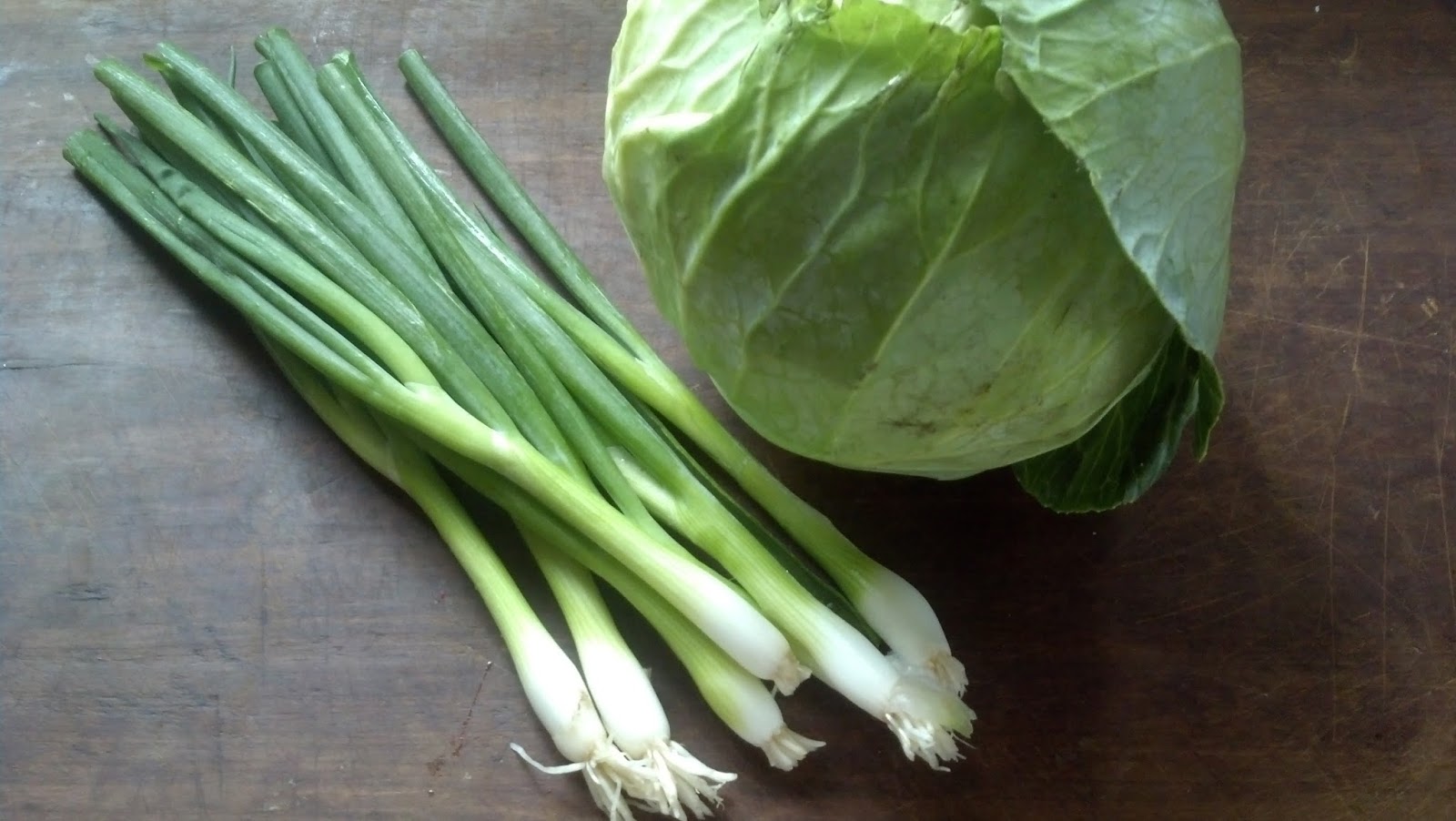 salted sugared spiced™: Calico Coleslaw