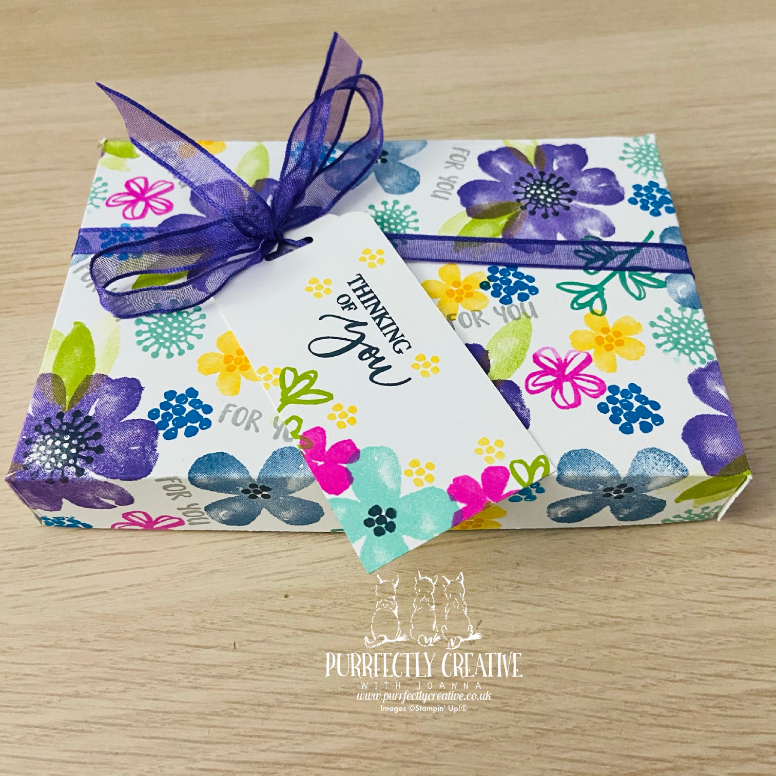 Purrfectly Creative : One Sheet Wonder Box and cards