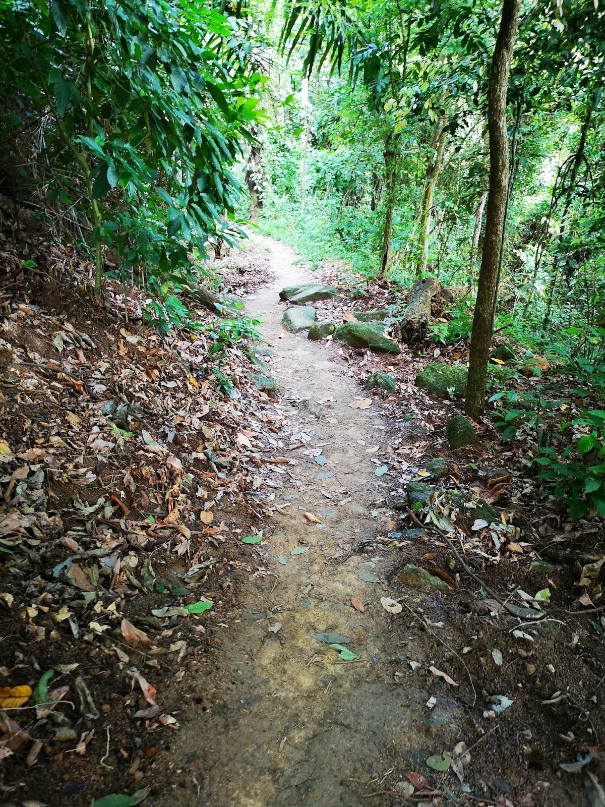 Gideon's Food and Travel