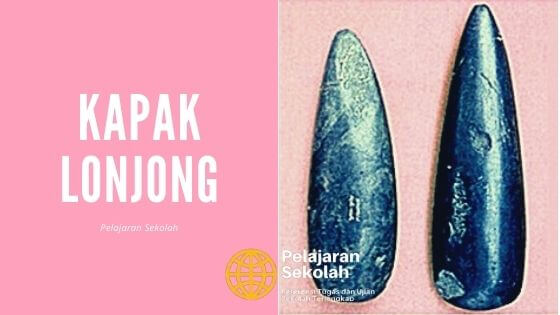 Ciri Ciri Kapak Lonjong Serta Fungsi, Jenis, Bentuk - Pelajaran Sekolah