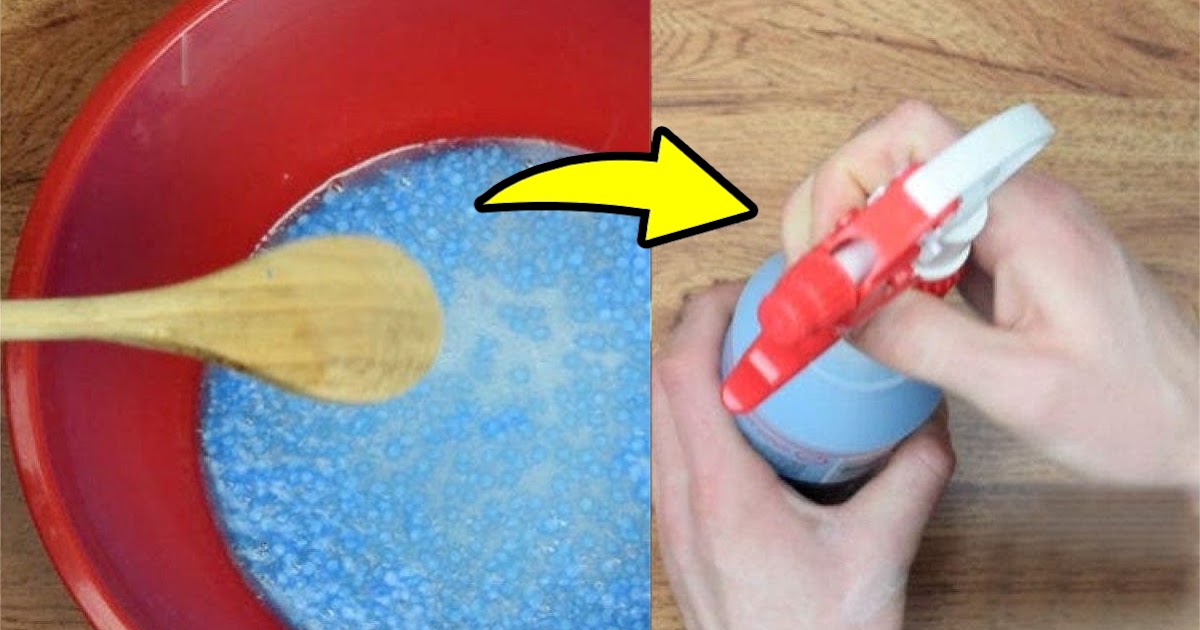 Te muestro el secreto para que tu casa siempre tenga un olor fresco y ...