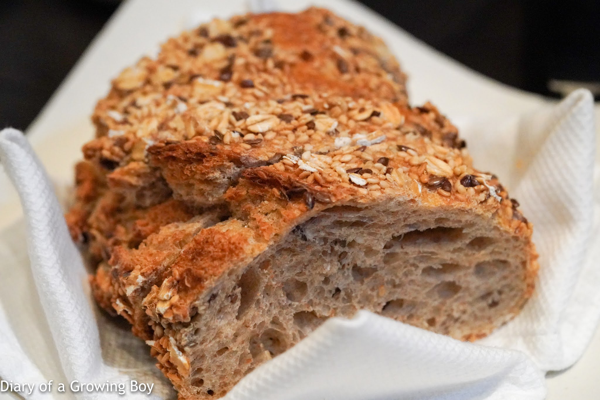 吃喝玩樂 - Diary of a Growing Boy: Memories of Spain