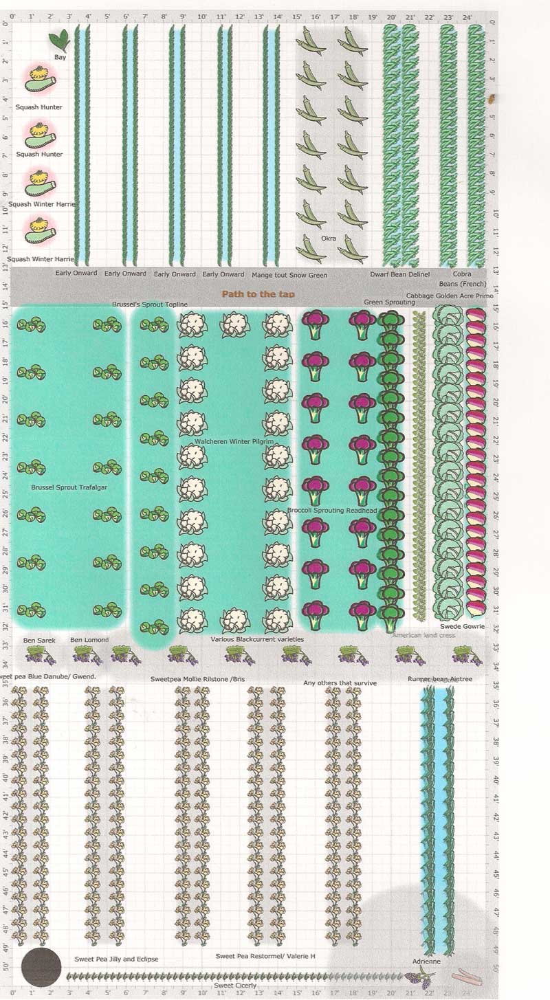 Allotment Garden: Allotment planning for 2011 amended version