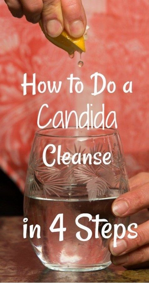 HOW TO DO A CANDIDA CLEANSE FREE PROTOCOL INCLUDED - wellness days