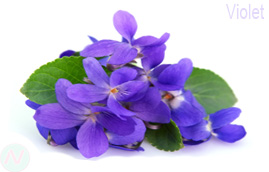 Colors Name & Codes | Meaning & Pictures | Necessary Vocabulary ...