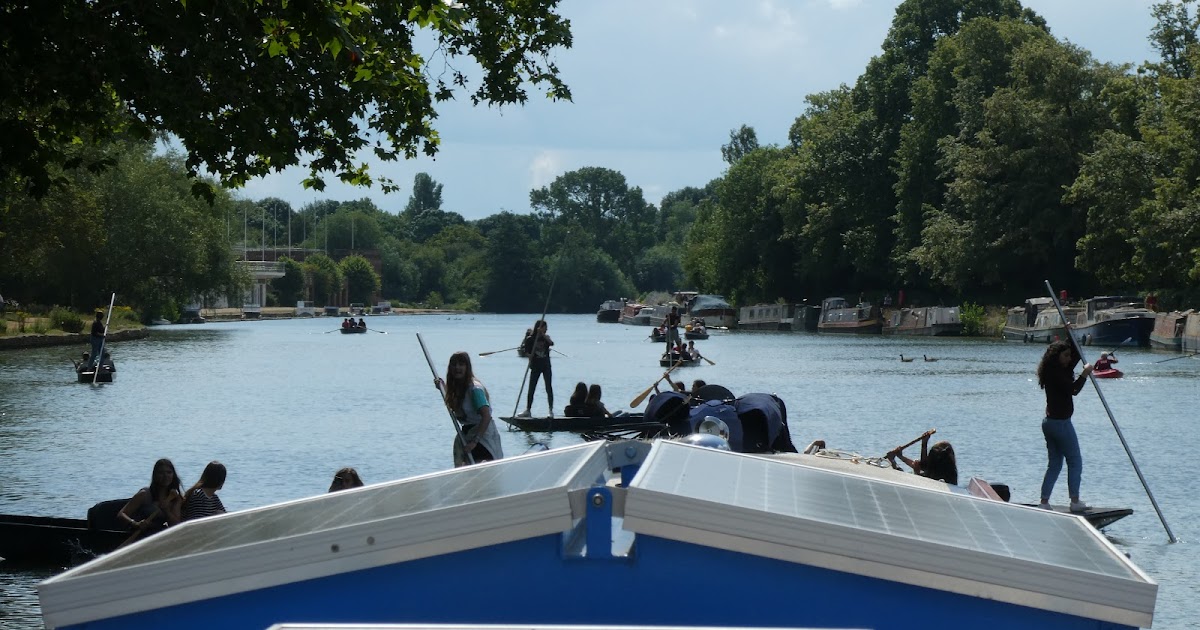 and Millie makes three: Below Abingdon Lock (River Thames) Friday 12th July