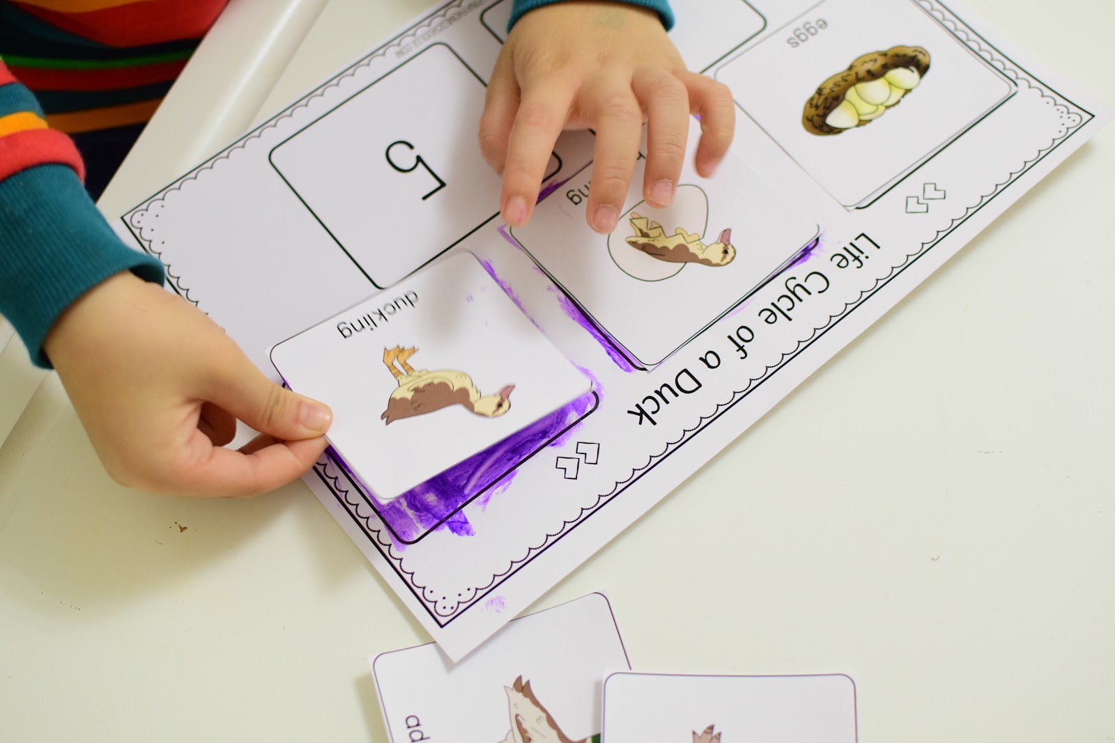 Spring Animal Life Cycles | The Pinay Homeschooler