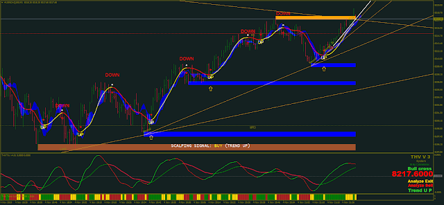 THV Cobra System with Price Action