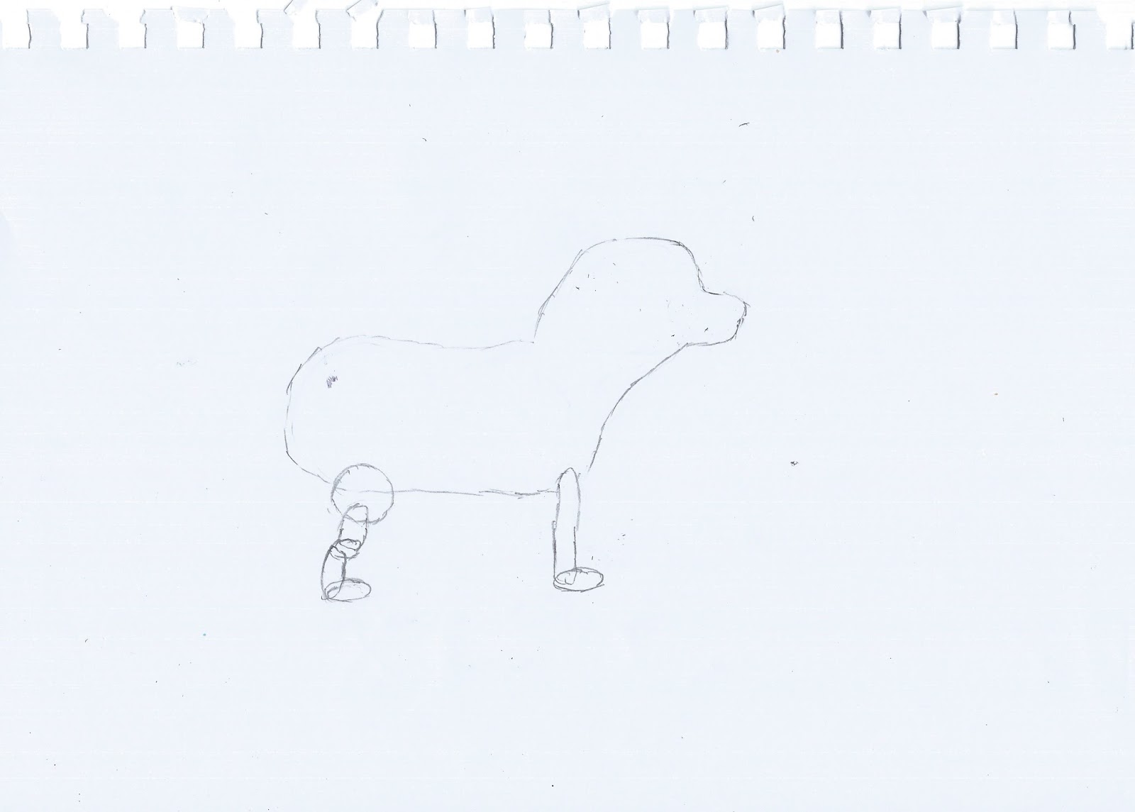 Drawing With Hayden: How To Draw A Dog: Standing SideView
