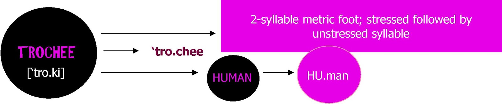 Ms Jeanille: FOUR BASIC METRICAL FEET