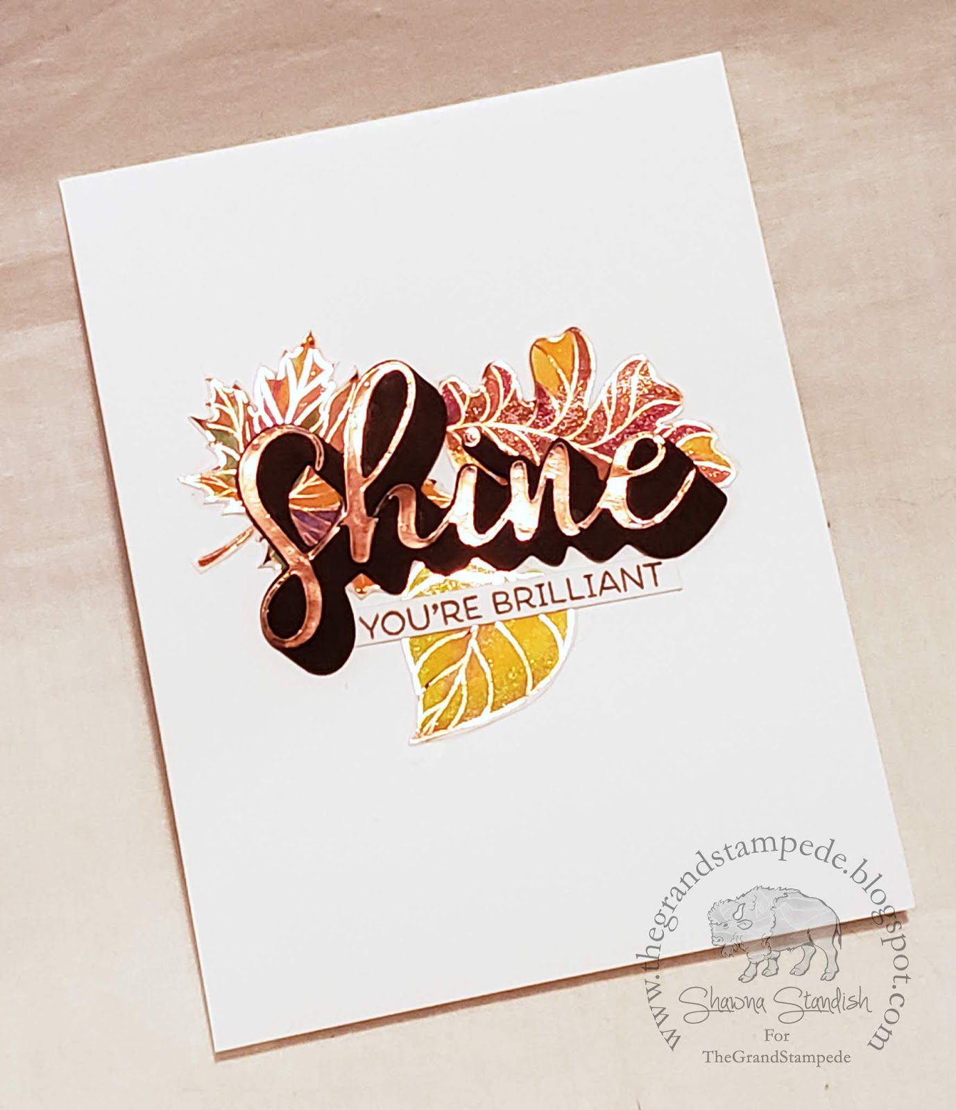 TheGrandStampede: Heavy Metal