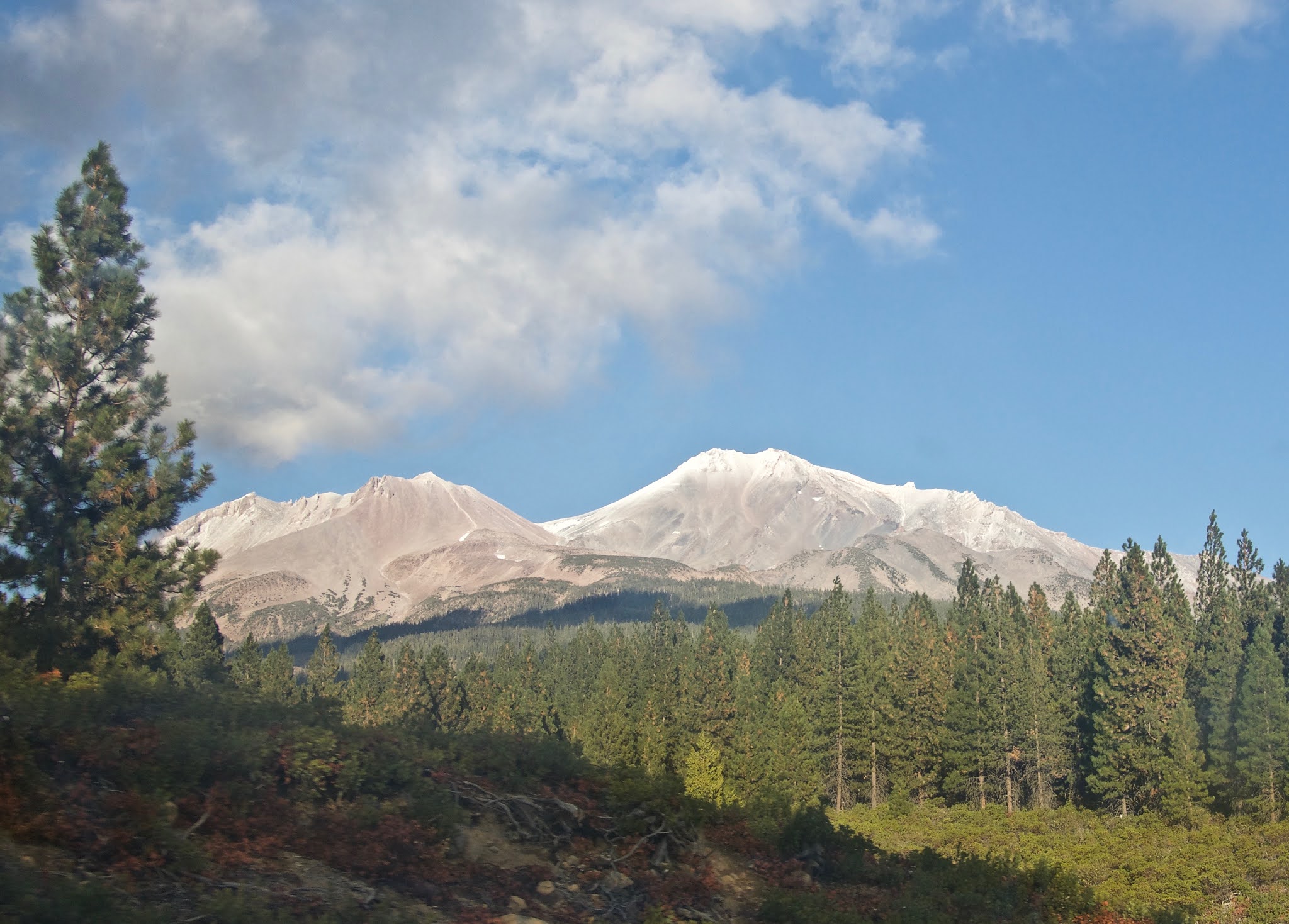 daily timewaster: Road trip to Mount Shasta this afternoon, to see the ...