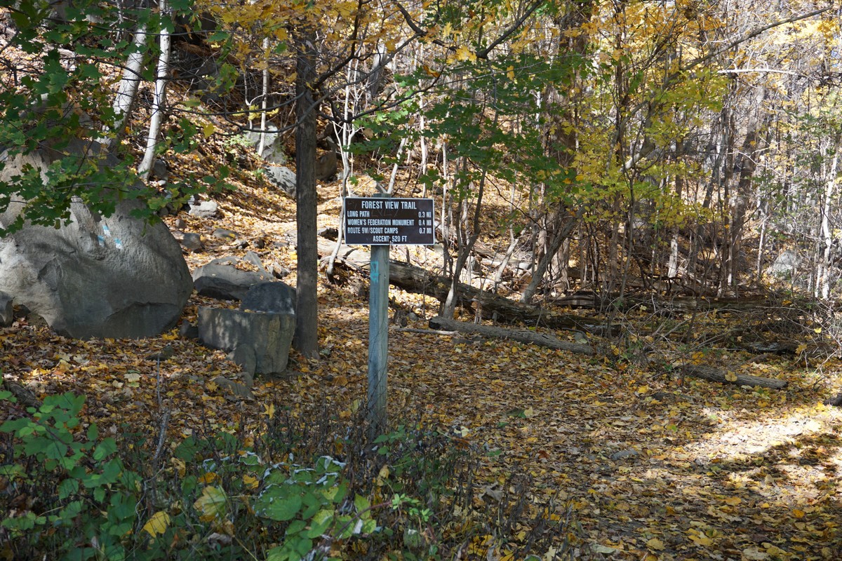 Harriman Hiker: Harriman State Park and Beyond: Forest View Trail to ...