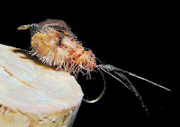 Fly Fishing In Yellowstone National Park: 06/01/2012 - 07/01/2012