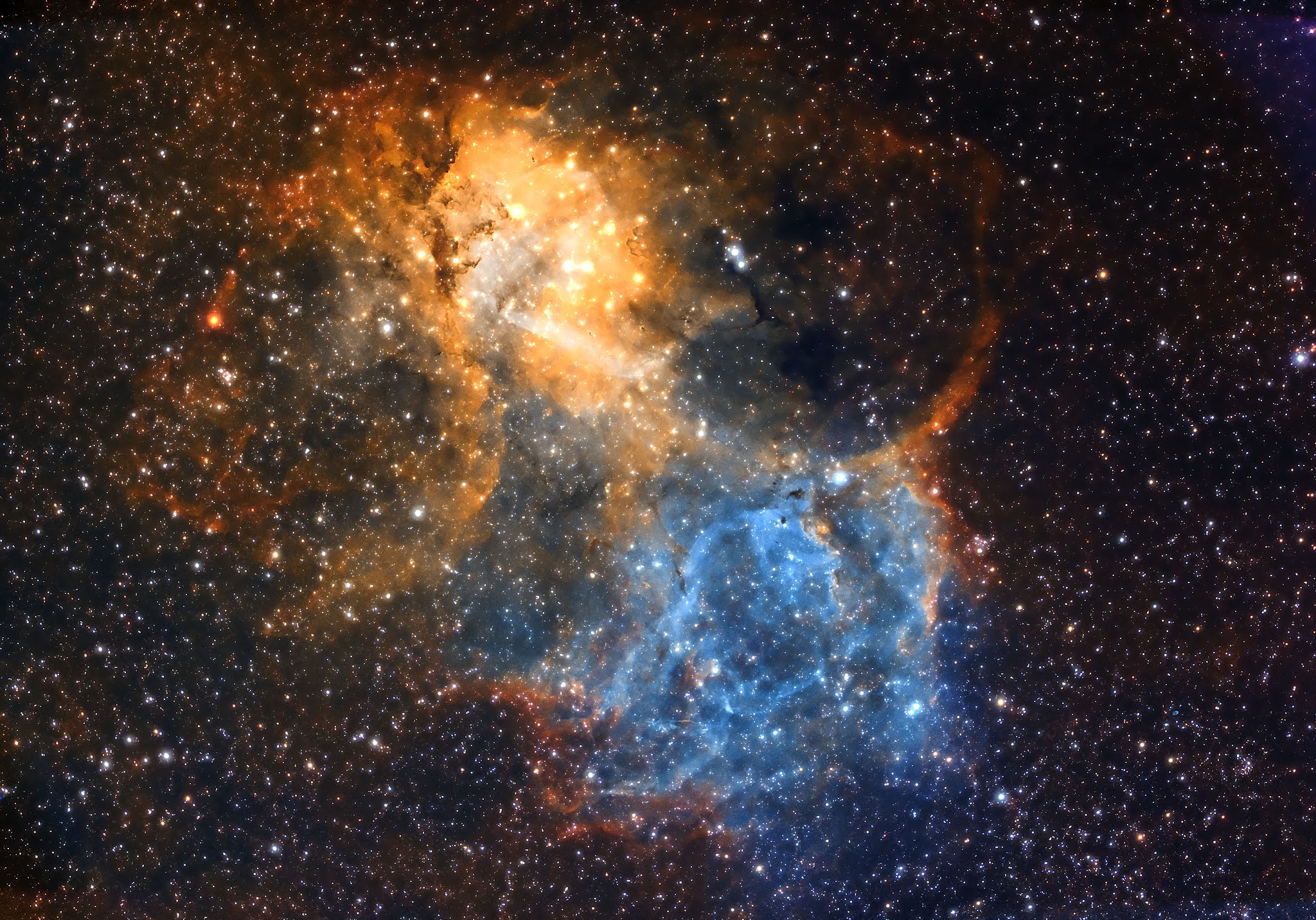 Sky and Rockets: A Lion, an 'E' and some Dark Nebulae