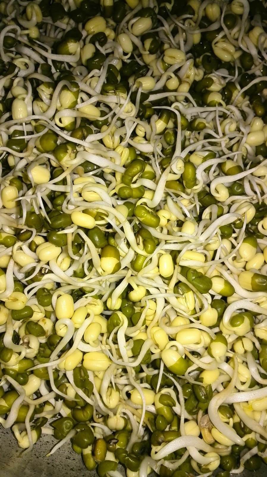 namakucella: BUAT TAUGEH SENDIRI