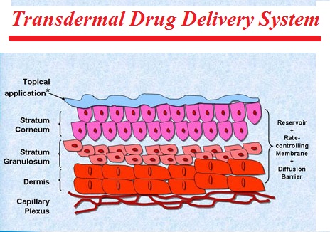 Project report on Trans-dermal Drug Delivery Systems - Pharmanotes