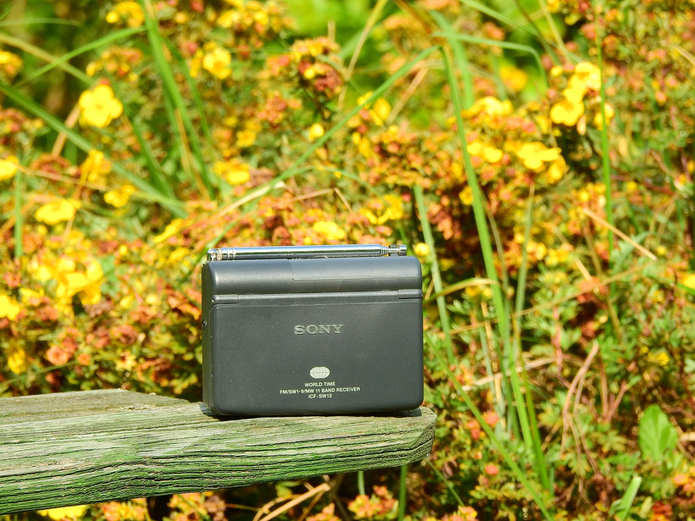 Soapbox photos: In camera: Sony ICF-SW12 in 2019