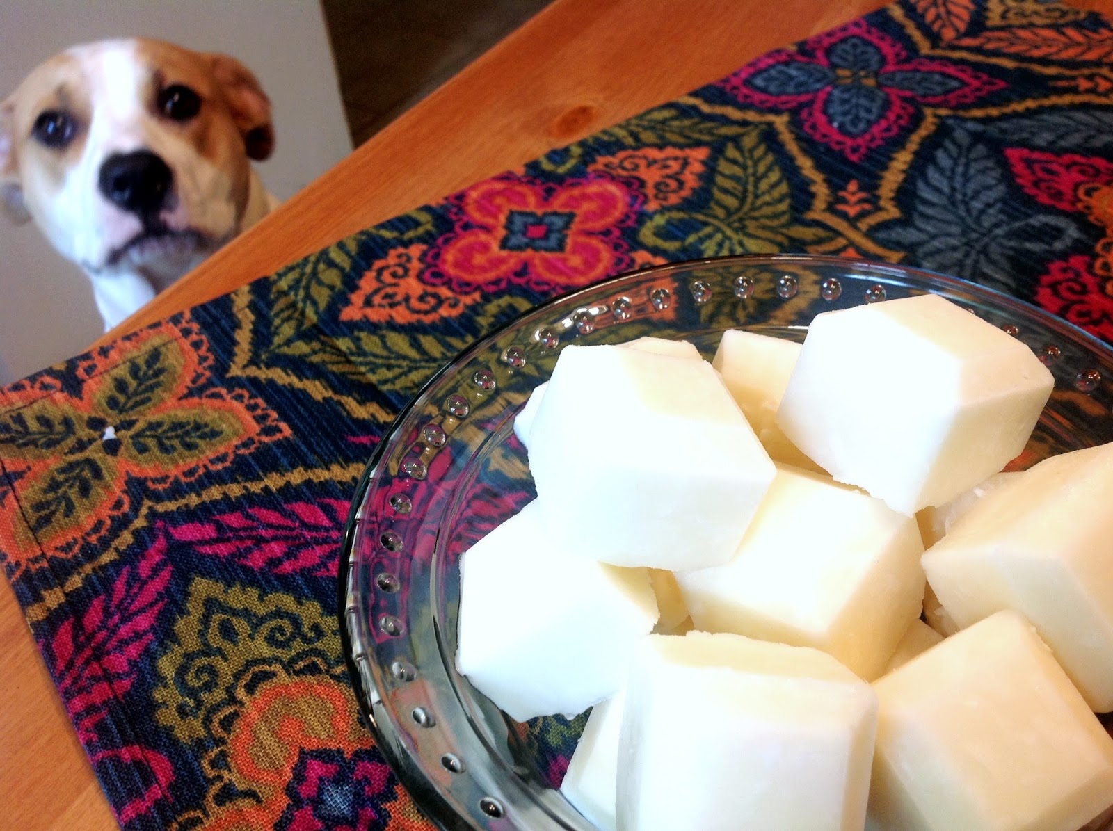 the dog mom: coconut dream frosty paws