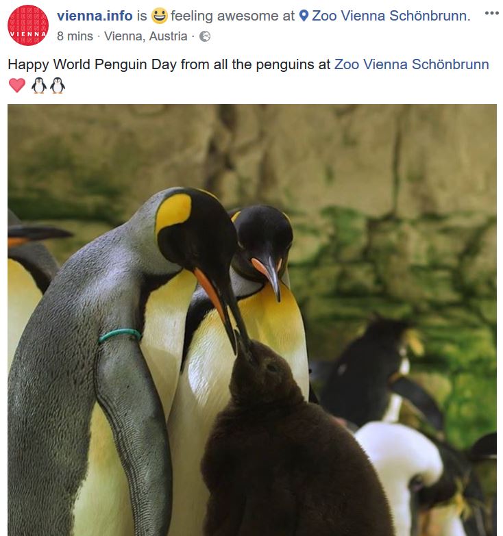 Coconuss Network: World Penguin Day