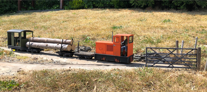 Dyfrdwy Tramway: Logging operations...