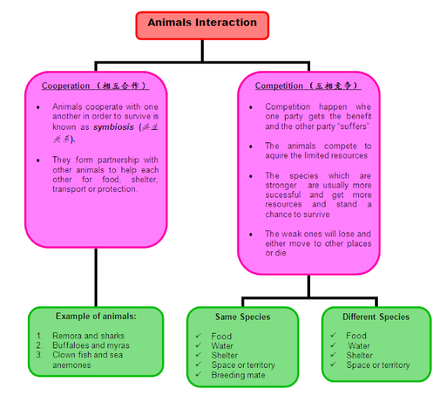 Welcome To Science Year 6: Lesson 2: Animals Interaction