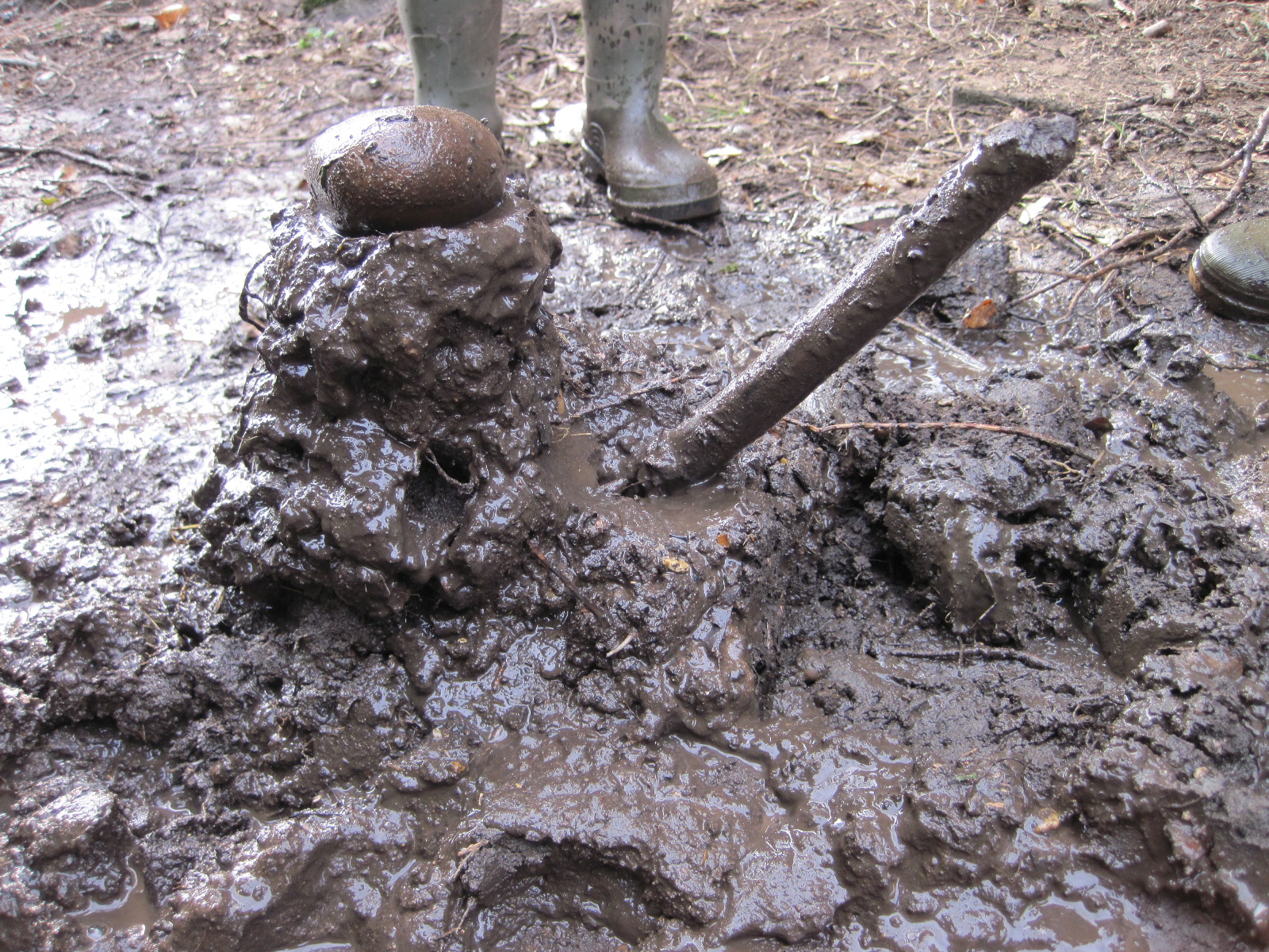 LYNDON GREEN JUNIOR FOREST SCHOOL: The Mud Pit