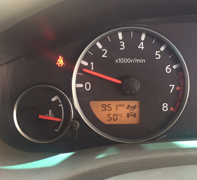 The leopard photo that was 7 years in the making | Focusing on Wildlife