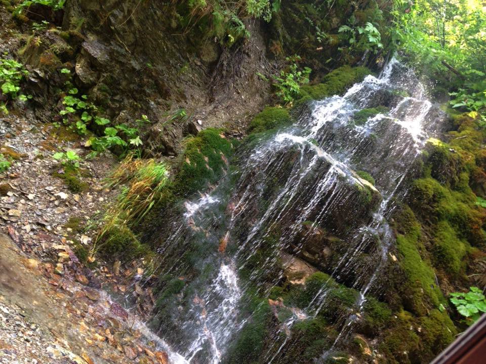 pandhoraa: Minunate mici cascade la Cheile Latoriţei