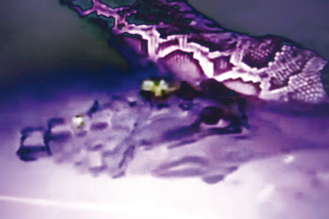 MUSEO DEL CAIMÁN Y SUS LUGARES / CAYMAN'S MUSEUM AND ITS PLACES ...