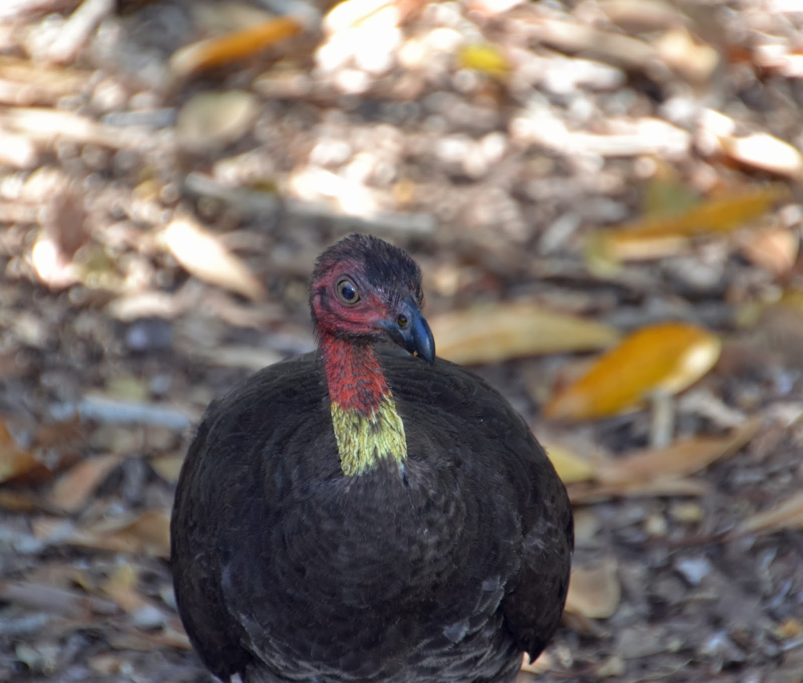 TheA+ Photography: 365 Days In Nature - January 2014