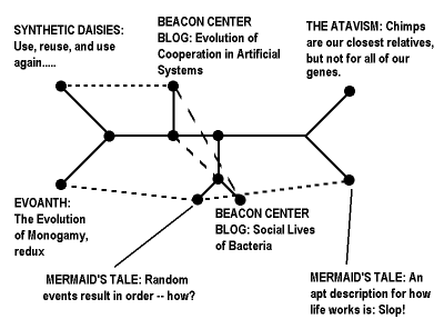 Synthetic Daisies: Carnival of Evolution, Number 46 -- The Tree ...