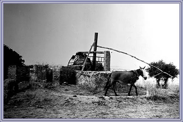 Lahiguera (JAEN): LA NORIA DE LA HUERTA CANILES.