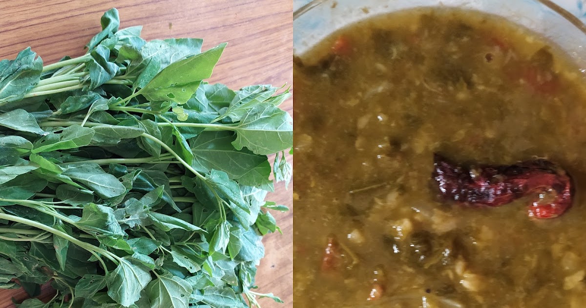 Chakotha soppina masoppu saru / Mountain spinach mashed sambar
